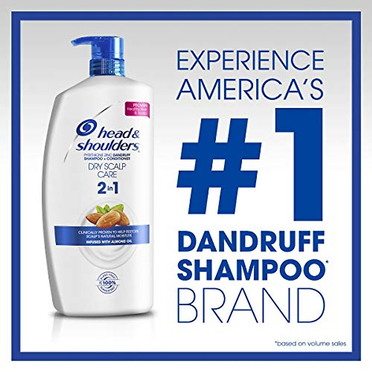 Head and Shoulders Dry Scalp Care with Almond Oil 2-in-1 Anti-Dandruff Paraben Free Shampoo + Conditioner 32.1 fl oz