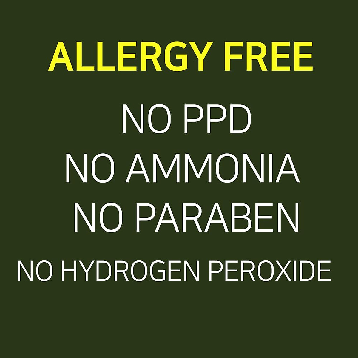 DONGSUNG Herb Speedy Color Cream (Soft Black, 1 Pack), PPD-Free Ammonia-Free Vegan Hair Dye with Sun Protection, Odorless, Gentle for Sensitive Scalp, No Eye or Scalp Irritation