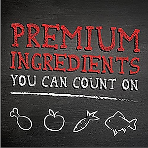 Stella & Chewy's Freeze-Dried Raw Carnivore Crunch Grass-Fed Beef Recipe Dog Treats – 3.25 oz. Bag