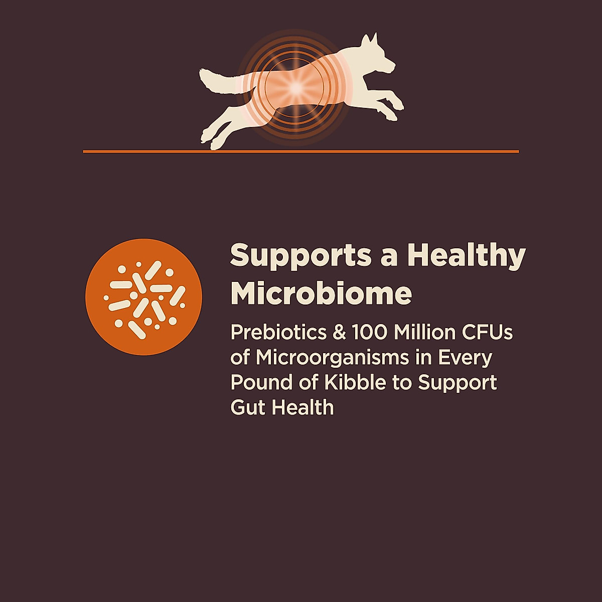 Wellness CORE Digestive Health Dry Dog Food with Wholesome Grains, Highly Digestible, for Dogs with Sensitive Stomachs, Made in USA with Real Chicken (Adult, 4-Pound Bag)