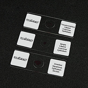 Prepared Epithelium Types Microscope Slides Set, Excellent 11pcs Specimens Representing The Major Types of Epithelium