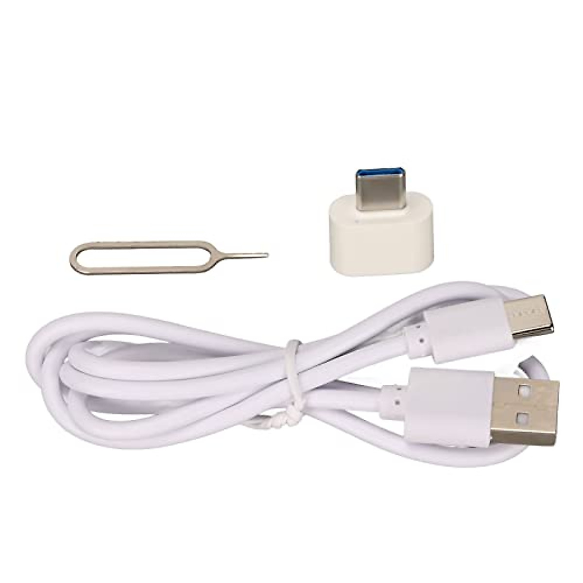 HD Tablet, 10.1 IPS LCD, 10.1 Travel Tablet. 100240 V