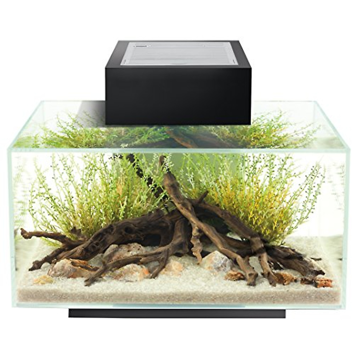 Fluval Edge Aquarium Kit, 6 Gallon, Black