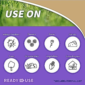 Bonide Japanese Beetle Killer Ready-to-Use Spray, 32 oz Indoor Outdoor Insecticide for Residential Use, Kills by Contact