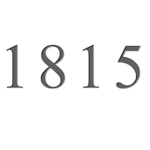 Royal Doulton 1815 Blue Pasta Bowl, 9.1"