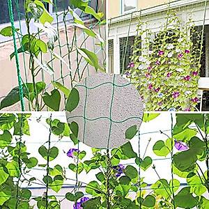 2 Pack Garden Plant Trellis Netting, (6 Feet x 16.5 Feet) Heavy-Duty Plant Support Vine Net for Climbing Plants, Garden Trellis Net for Plant Growing Flexible String Net