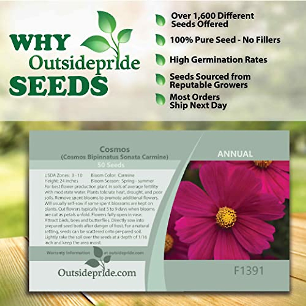Outsidepride Cosmos Bipannutus Sonata Carmine Garden Cut Flower & Pollinator Seeds - 50 Seeds