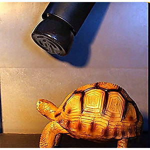 Qixivcom 2-Packs 50W Black Ceramic Heat Lamp Mini Reptile Heat Lamp Bulbs E26/E27 Infrared Reptile Heat Emitter Heater Lamp Bulb No Light Lamps for Lizard Brooder Coop Aquarium Habitat Lizard Turtle