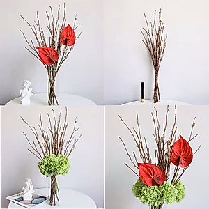 5PCS Artificial Lifelike Curly Willow Branches Decorative Dried Twigs, 25.9 Inches Fake Bendable Sticks Plastic Vines/Stems for DIY Greenery Plants Vases Home Office Party Decoration