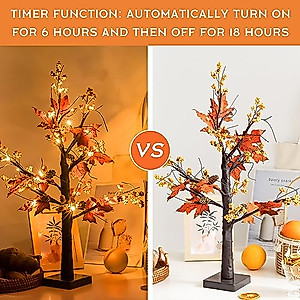 Ethlomoer 2 Pack 24 Inch Artificial Fall Maple Tree, Prelit 48 LEDs for Thanksgiving Decorations Fall Decor, Battery Operated with Timer, Lighted Autumn Tabletop Tree for Harvest Home Indoor Decor