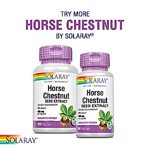 SOLARAY CircuLegs w/ Horse Chestnut Extract, Gotu Kola & More | Healthy Leg Circulation Support (60 Serv, 120 VegCaps)