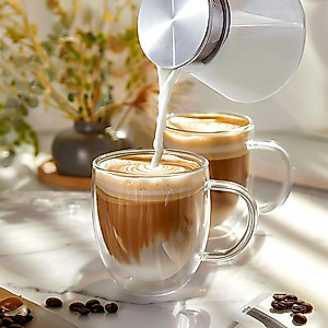 TECOHORS 8 Ounces Set of 4 Double Walled Glass Coffee Mugs with with Handle Insulated Layer Coffee Cups Borosilicate Glass Espresso Double Insulated Clear Glass Coffee Mug for Hot Beverages