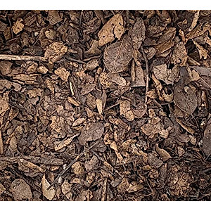 2.5 Quarts Natural Oak Leaf Mold for Acid Loving Plant, Cactus & Succulent, Bonsai Tree Soil Mix - Organic Additive