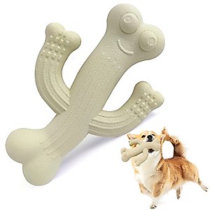 Medlladle Dog Chew Toys Cactus for Aggressive Chewers Small Breed, Indestructible Tough Dog Toys for Puppies Pet Toy with Durable Natural Rubber