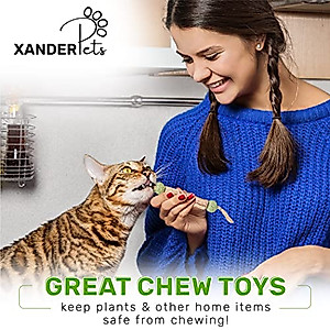 XanderPets Cat Chew Stick - Matatabi Stick for Cat - Silvervine Chew Sticks for Cats - Cat Dental Sticks w/Cat Nips Organic - All Breeds 3PK