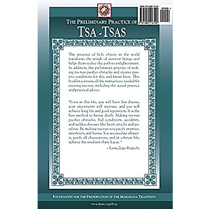 The Preliminary Practice of TSA-TSAS