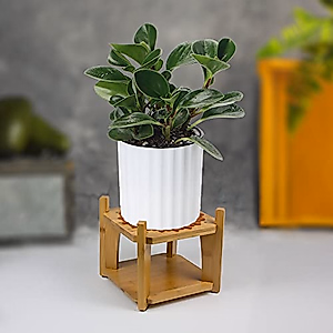 KCGANI Water Beverage Dispenser Stand with Silicone Pad, Counter Bamboo Stand, Drinking Water Crock Base, Plant Floor Stand, Glass Beverage Stand for Drinks, Party, 2 Tiers, 8.5" in Width (Brown)