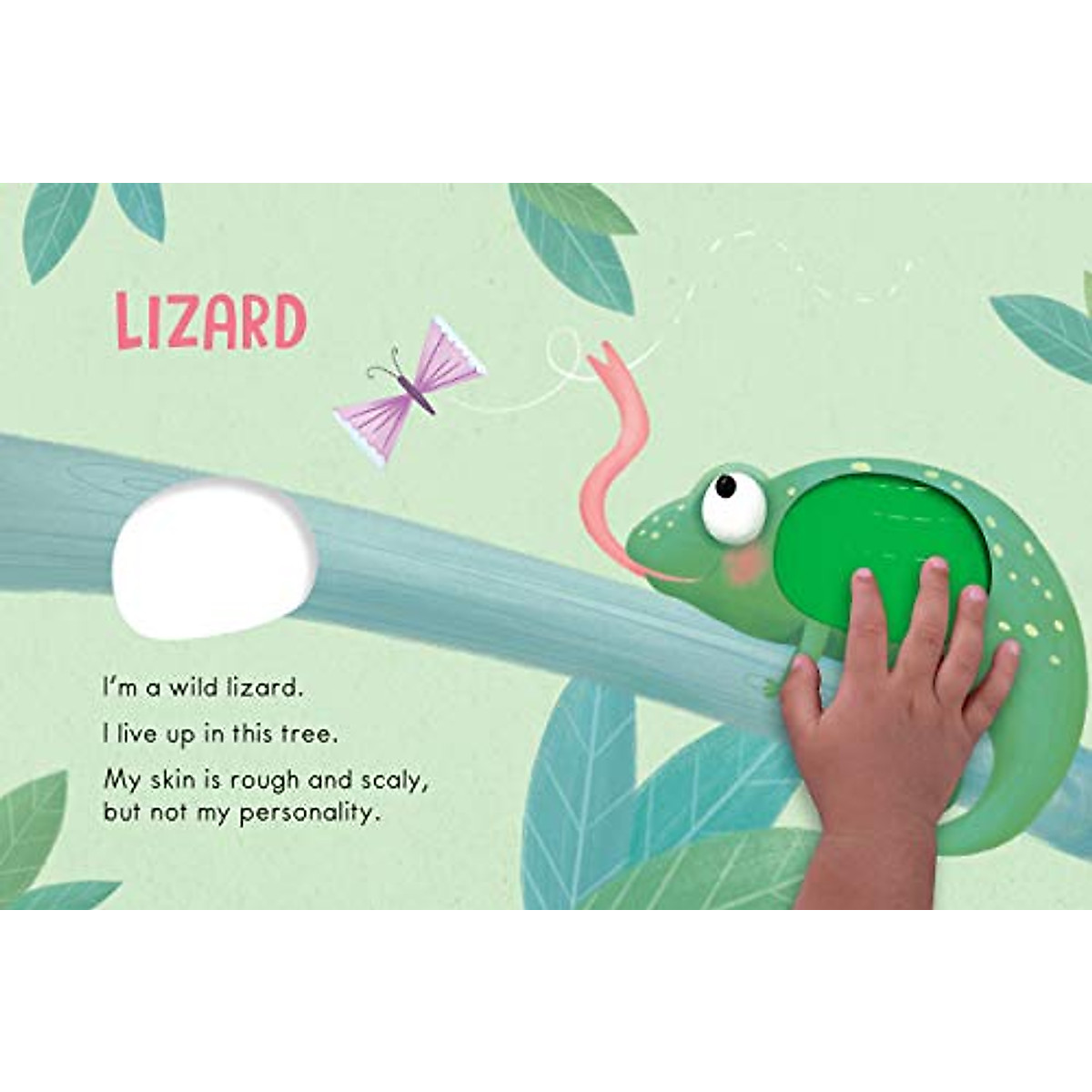 Wild Animals: A Touch and Feel Book - Children's Board Book - Educational