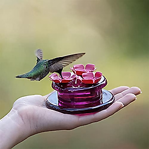 Bird Feeder Feeder Hummingbird Drinking Water Handheld Water Feeder New P-roduct Garden
