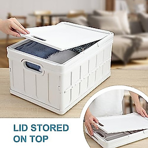 AREYZIN Set of 6 Small Plastic Storage Baskets + Set of 3 Large Collapsible Storage Bins with Lids