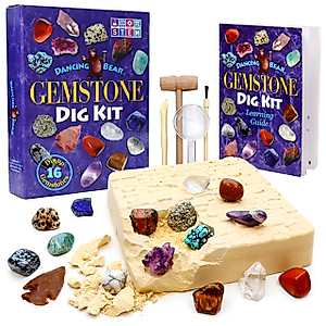 DANCING BEAR Gem Dig Kit - Excavate 16 Gems & Crystals Including Arrowheads, Quartz, Amethyst - STEM Education Gift Set for Kids