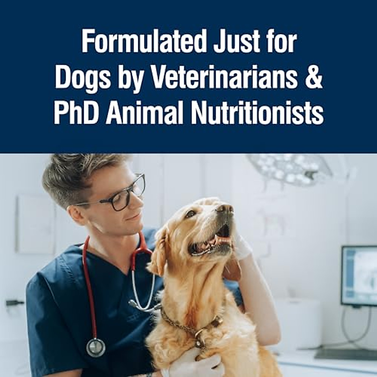 Blue Buffalo True Solutions Blissful Belly Wet Dog Food, Digestive Care Formula, Helps Maintain Stool Quality, 12.5-oz. Cans (12 Count)