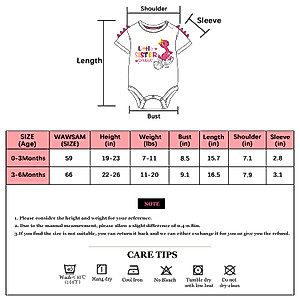 WAWSAM Little Sister Bodysuit Newborn Baby Girls’ Dinosaur Romper Sibling Outfit Infant Toddler Cotton Printed Short sleeve Onesies Dino Casual Summer Jumpsuit Gift (white, 0-3 Months)