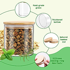20 oz Glass Spice Jars with Bamboo Lid,6 Pack Kitchen Food Storage Canister for Spices,Coffee Beans,Tea, Nuts and Candy