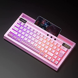 CTBTBESE Wireless RGB Backlit Gaming Keyboard, Ultra-Compact 61 Keys with Phone Stand, Waterproof for PC/Mac Gamer, Typist, Travel(Pink)…
