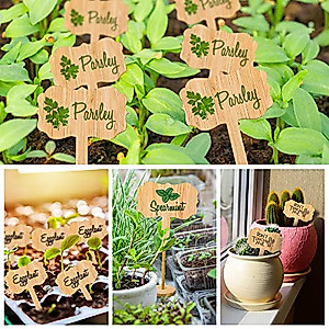 Whaline 60Pcs Bamboo Plant Labels with 1 Marker Pen Eco-Friendly T-Type Wooden Plant Sign Tags Wood Garden Markers Decorative Garden Tags for Seed Potted Herbs Flowers Vegetables (6.5 X 10 cm)