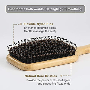BESTOOL Hair Brush, Boar Bristle Hair Brushes for Women men Kid, Boar & Nylon Bristle Brush for Wet/Dry Hair Smoothing Massaging Detangling, Everyday Brush Enhance Shine & Health (Square)