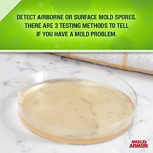 Mold Armor FG500 Do It Yourself Mold Test Kit , Gray