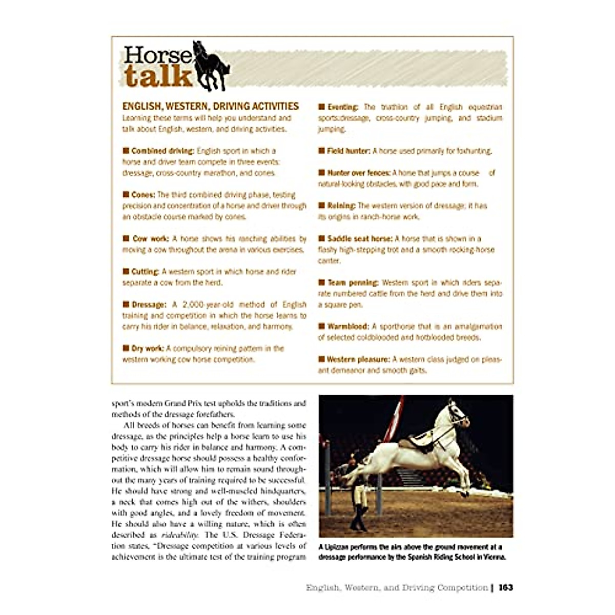 The Original Horse Bible, 2nd Edition: The Definitive Source for All Things Horse (CompanionHouse Books) 210 Breed Profiles, Training Tips, Riding Insights, Competitive Activities, Grooming and Health