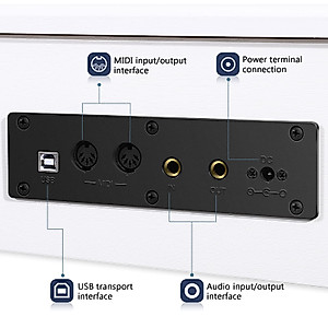 ZHRUNS Digital Piano 88 Key Full-Size Weighted Keyboard Piano,MP3 Function, Remote Control, Power Supply, 3 Pedals, MIDI/Headphone/Audio Output Feature, Suitable for Beginners/Adults