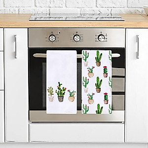 Watercolor Cactus Kitchen Dish Towel 18 x 28 Inch, Seasonal Spring Summer Cacti Towels Dish Cloth for Cooking Baking Set of 2