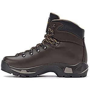 Asolo Men's TPS 520 GV EVO Long Distance, Backpacking, Trekking, Technical Terrian Hiking Boots (Chestnut, 11)