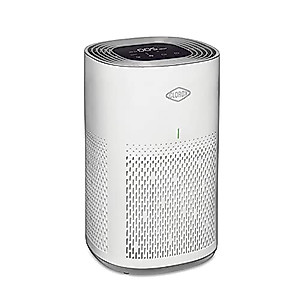 Clorox Air Purifiers for Home, True HEPA Filter, Medium Rooms Up to 1,000 Sq Ft, Removes 99.9% of Mold, Viruses, Wildfire Smoke, Allergens, Pet Allergies, Dust, AUTO Mode, Whisper Quiet