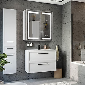 Janboe Stainless Steel LED Medicine Cabinet,Bathroom Mirror Cabinet with Light,3 Color,Dimmable,Equipped with Defogger,USB Shavor Socket,Internal Light,30×32 Inch