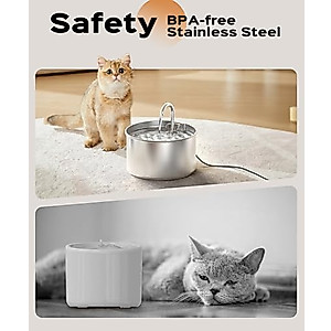 Stainless Steel Cat Water Fountain: Pet Fountains Indoor Metal Automatic Dispenser Cat Waterer Bowls Dog Faucet Bottle Pets 24/7 Running Watering for Drinking Quiet Pump with 1 Filter