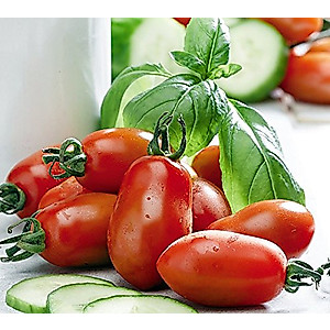 30+ Italian San Marzano Paste Tomato Seeds, Heirloom Non-GMO, Indeterminate, Open-Pollinated, Productive, Delicious, from USA