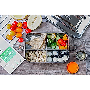 ecozoi Stainless Steel Eco Lunch Box, Leak Proof, 4 Compartment | Sustainable Zero Waste Eco Friendly Bento Box Food Storage Container