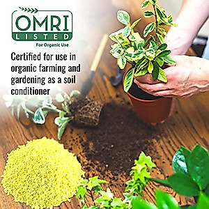 DL Wholesale Sulfur Bag 4lb Organic Plant Fertilizer, Garden Planting Soil Food for Vegetable Garden, Succulents, OMRI Certified