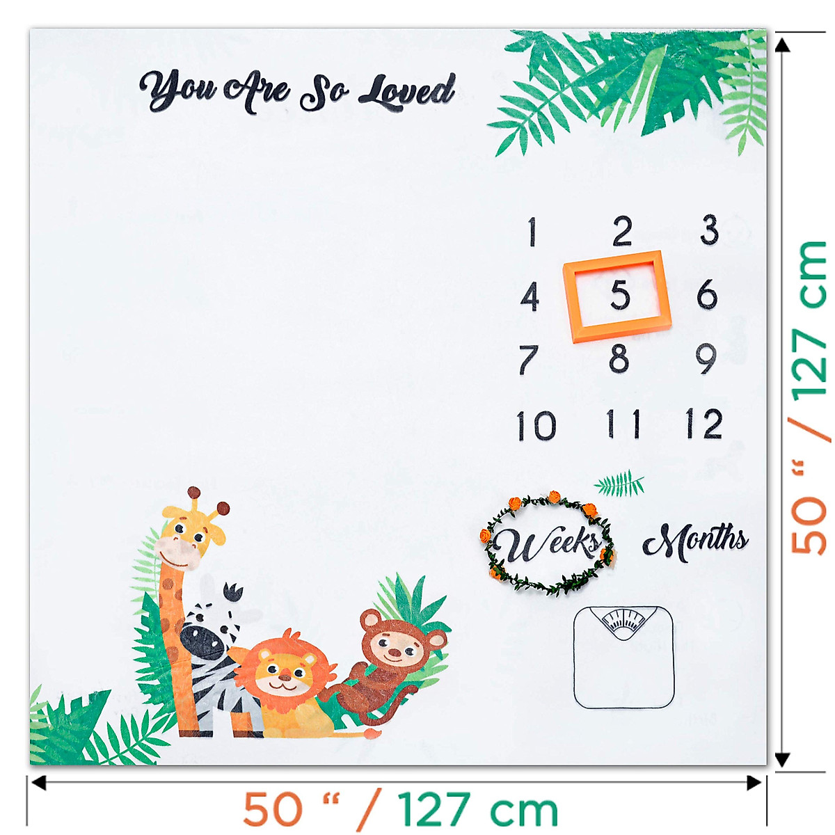 Monthly Baby Milestone Blanket - Double Sided Soft & Smooth Fleece | Baby Milestone Blanket Boys & Girls | Baby Photo Props with Frame & Leaf Wreath |