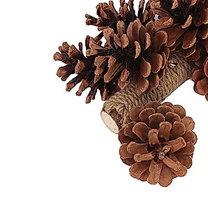 Parrots Pine Cone Chewing Toy, Hamster Chew Toys Hanging Wooden Pine Cones Bird Cage Funny Chewing Toy for Parakeet Cockatiel Grey Lovebirds Budgies Cockatoos(S)