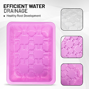 Trendily Inspired 10 Pack Seed Starter Kit with Humidity Dome, 120 Cell Germination Kit, Reusable Plant Sprouting Trays, 10 Colorful Growing Kits Greenhouse (5 Colors)