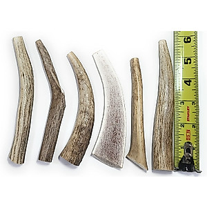 Big Dog Antler Chews 6 Pack for Small Dogs | All Natural Organic Deer and Elk Antler Dog Chews | 0 to 20 Pounds