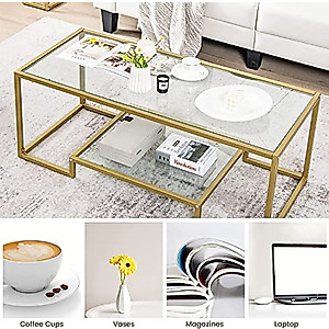 NAFORT Tempered Glass Coffee Table, 45 Inch Gold Rectangular Modern Center Table with Lower Storage Shelf, Sturdy Metal Frame, for Living Room Home Office/Gold