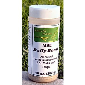 MSE Daily Boost, 10 oz. shaker