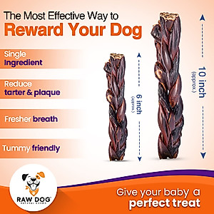 Raw Dog 6" Braided Beef Gullet Sticks (3 Pack) – 100% All Natural Dog Treats & Dental Chews, Non-GMO Grass Fed Beef, Chemical Free Low Odor