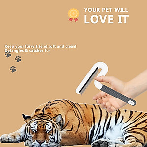 ﻿TailGurus Flea Comb For Cats & Dogs-Premium Flea Comb for Cats & Dogs-Cat Brush for Shedding & Dog Brush for Long Haired Dogs - Ideal for Indoor Cats & Shedding Dogs - Water-Resistant Design(TG2038)